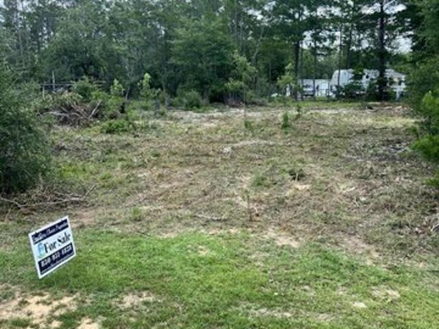 2 Bluebottle Ct W, Defuniak Springs, FL 32433