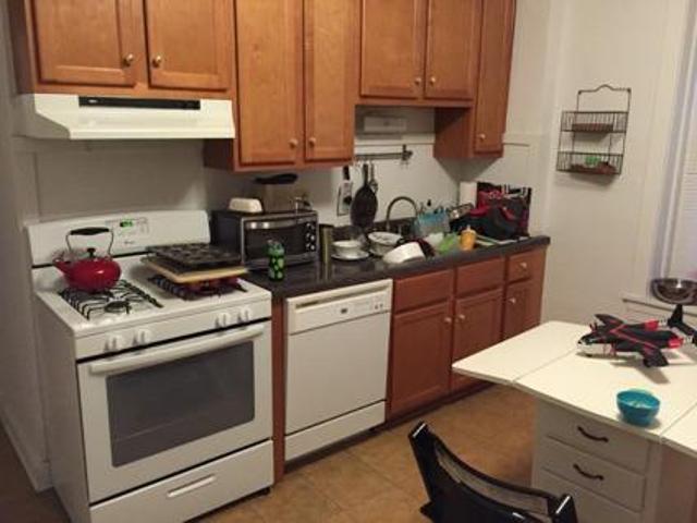 2 BR Apartment in Roscoe Village