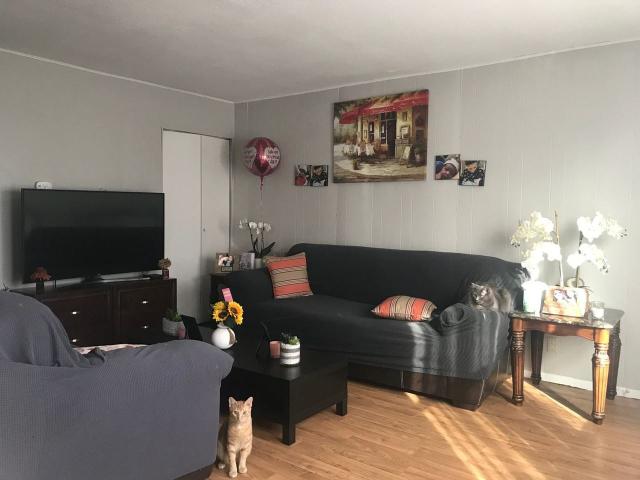 2 BR Duplex Move in ready 10/1/2022 2 Bedroom Apartment for Rent at, Champaign, IL 61821