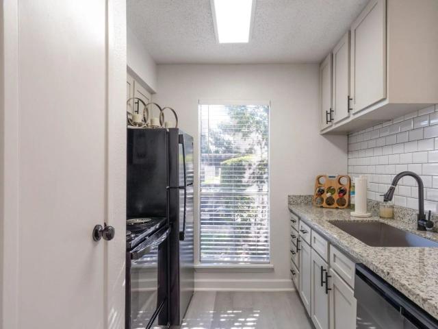 2 BR, 1.5 BA Apartment 1110 El Camino Village Dr Unit 18 1802, Houston, TX 77058