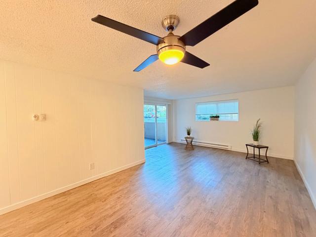 2 BR, 1.5 BA Apartment 11300 3rd Avenue Northeast Unit 237, Seattle, WA 98125