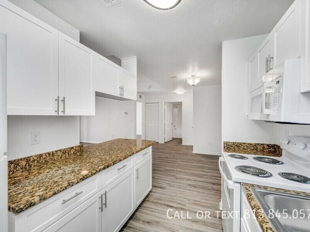 2 BR, 1.5 BA Apartment 13036 Kain Palms Court, 104, Tampa, FL 33612
