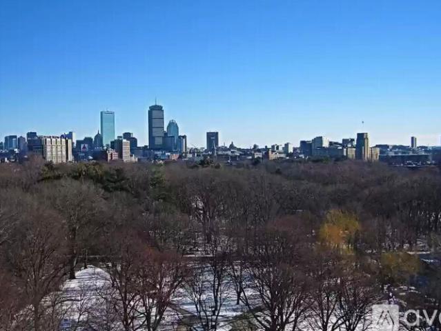 2 BR, 1.5 BA Apartment 175 Freeman St, Unit 213, Brookline, MA 02446