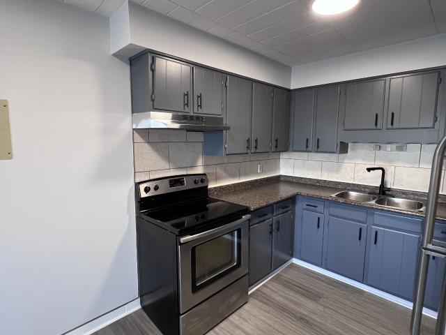 2 BR, 1.5 BA Apartment 180 Tecumseh Rd E, Windsor, ON N8X 2P8