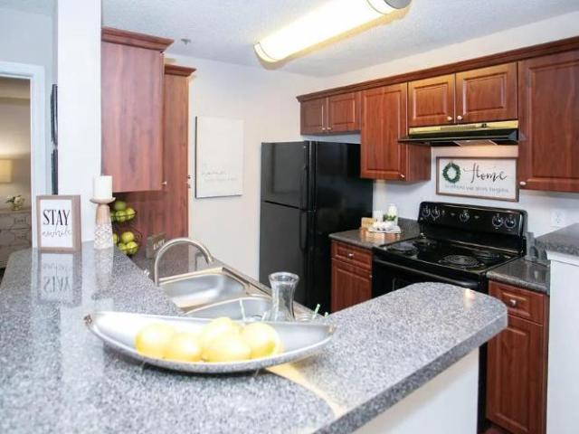 2 Br, 1 bath, Apartment 100 Ashford Gables Drive