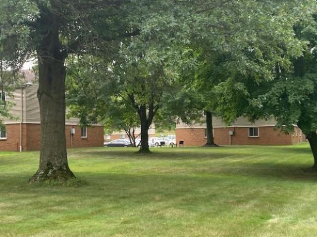 2 Br, 1 bath, Apartment 114 Gluck St