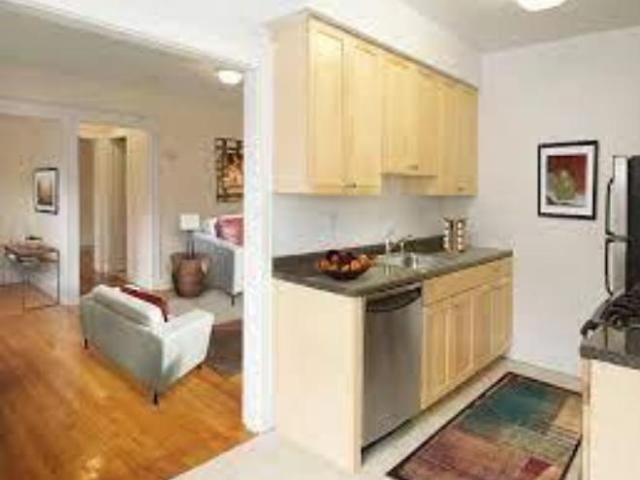 2 Br, 1 bath, Apartment 1 Langdon Street