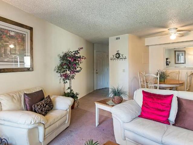 2 Br, 1 bath, Apartment 3860 Patrick Dr Ste 21