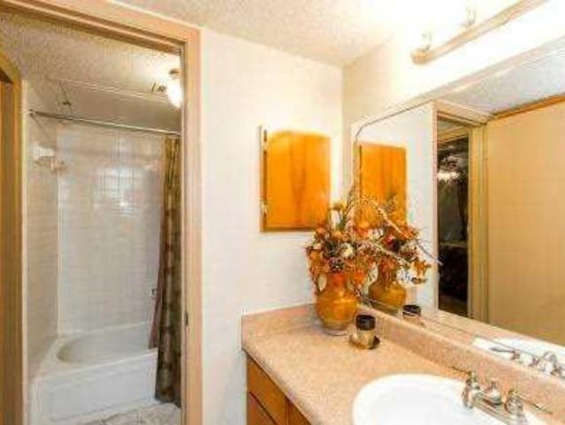 2 Br, 1 bath, Apartment 3910 Old Denton Road