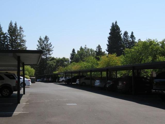 2 Br, 1 bath, Apartment 601 River Glen Drive