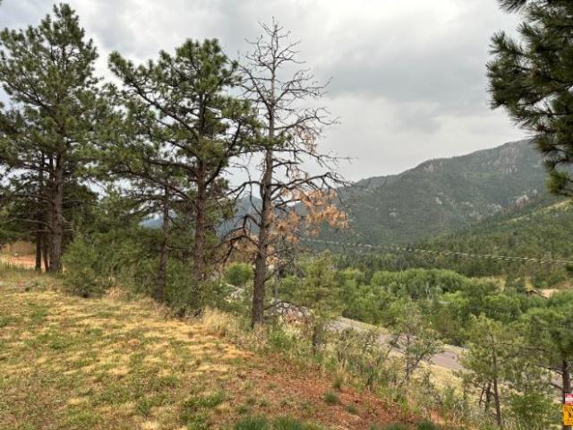 2 Br, 1 bath, Condo 8220 W Hwy 24