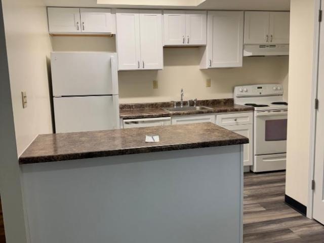 2 Br, 1 bath, Condo 101 Parsons St