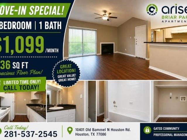 2 Br, 1 bath, Condo 10410 Old Bammel N