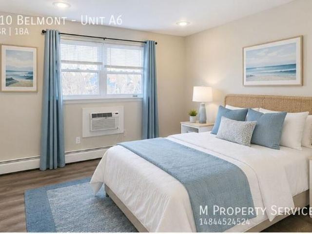 2 Br, 1 bath, Condo 110 Belmont