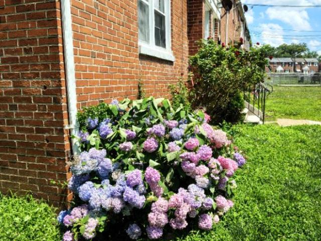 2 Br, 1 bath, Condo 2135 Seneca Road