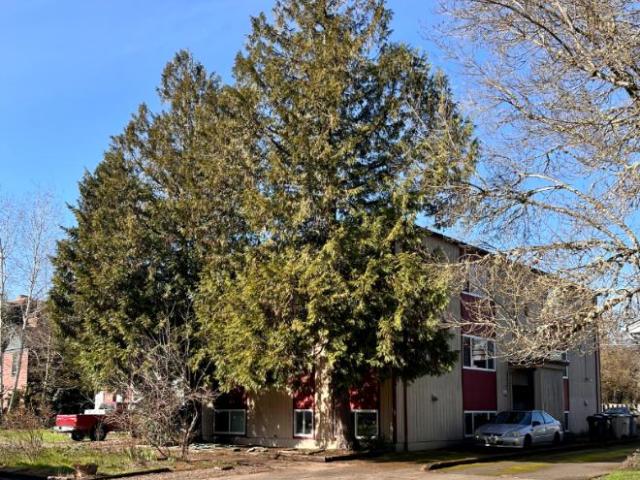 2 Br, 1 bath, Condo 214 SW 8th St