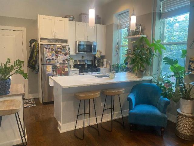 2 Br, 1 bath, Other 1059 North Damen Avenue