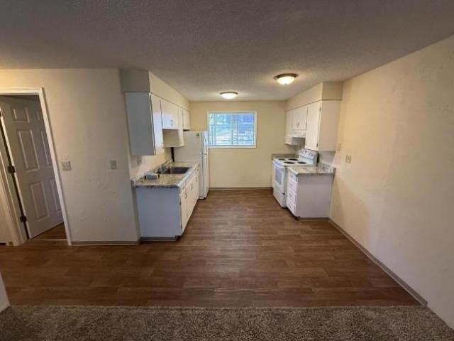 2 Br, 1 bath, Single Family Home 433 Holly Street