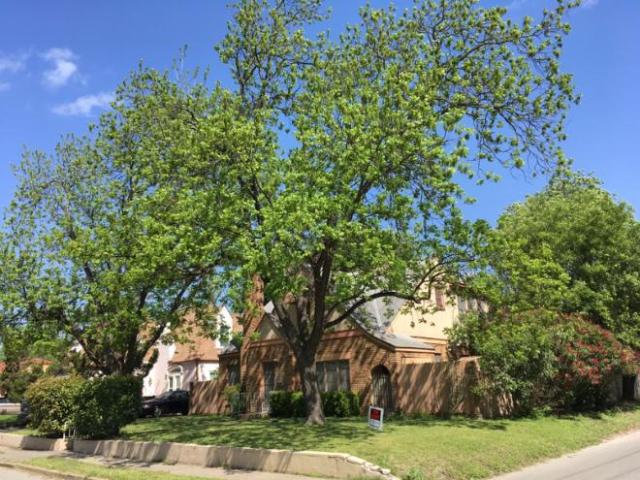 2 Br, 1 bath, Single Family 1603 W Rosewood Ave