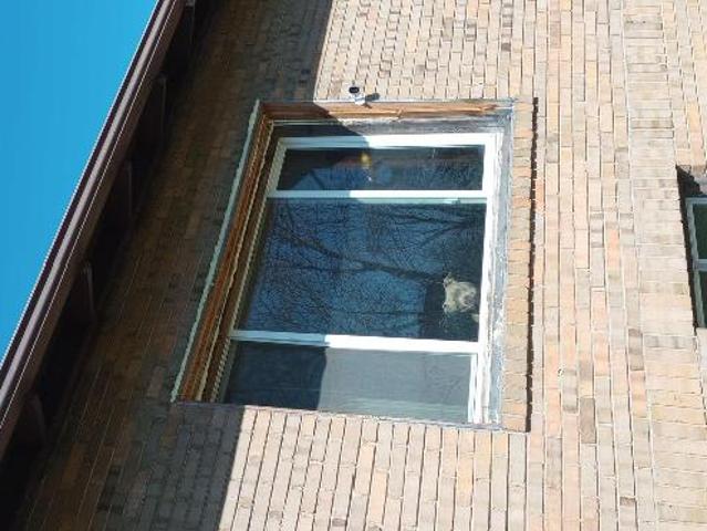 2 Br, 1 bath, Single Family 136 Griffin