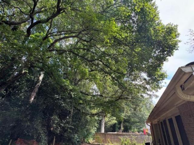 2 Br, 1 bath, Single Family 245 Kimberly Way Sw
