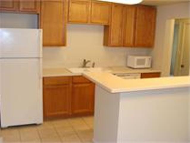 2 BR, 1 BA Apartment WindstreamColumbine Dr, Vail, CO 81657