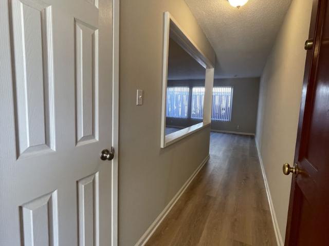 2 BR, 1 BA Apartment 1651 Detroit Ave, Concord, CA 94520