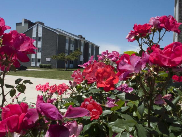2 BR, 1 BA Apartment 124a North North Carolina Avenue Unit 6 0154, Atlantic City, NJ 08401