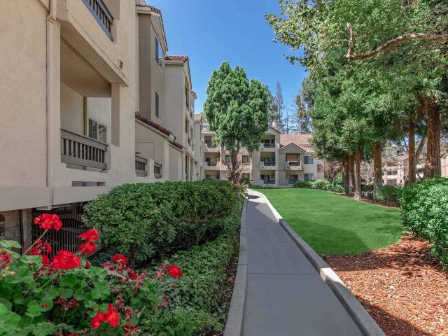 2 BR, 1 BA Apartment 1277 San Tomas Aquino Road Unit A 318, San Jose, CA 95117