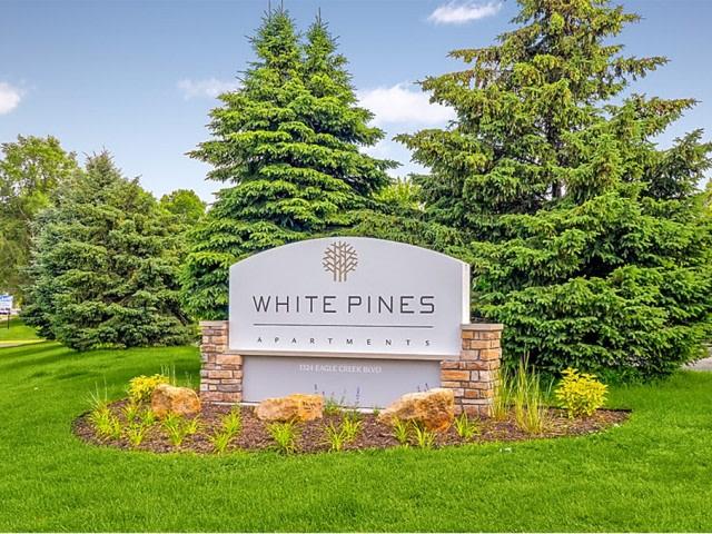 2 BR, 1 BA Apartment 1324 Eagle Creek Blvd Unit 215, Shakopee, MN 55379
