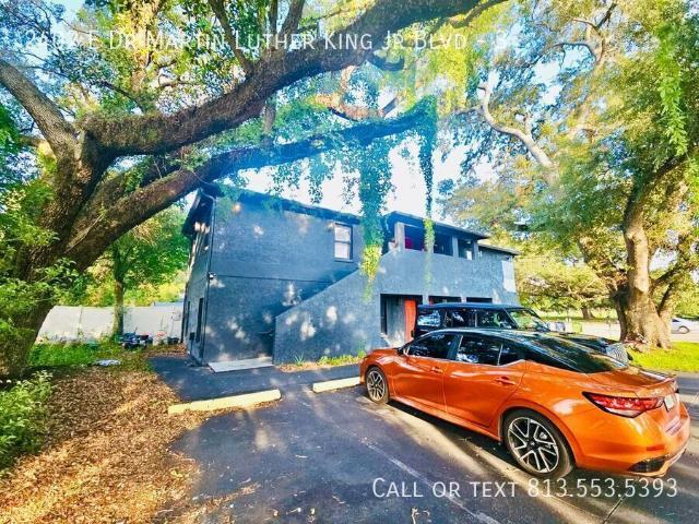 2 BR, 1 BA Apartment 2402 E Dr Martin Luther King Jr Blvd, Tampa, FL 33610