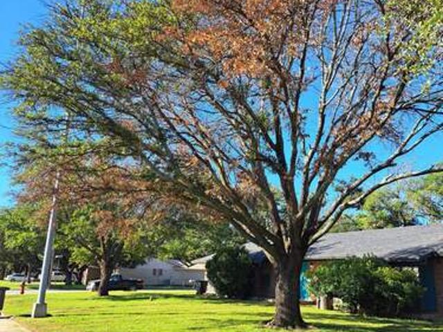 2 BR, 1 BA Apartment 2030 Menard Hwy, Unit 3, Brady, TX 76825