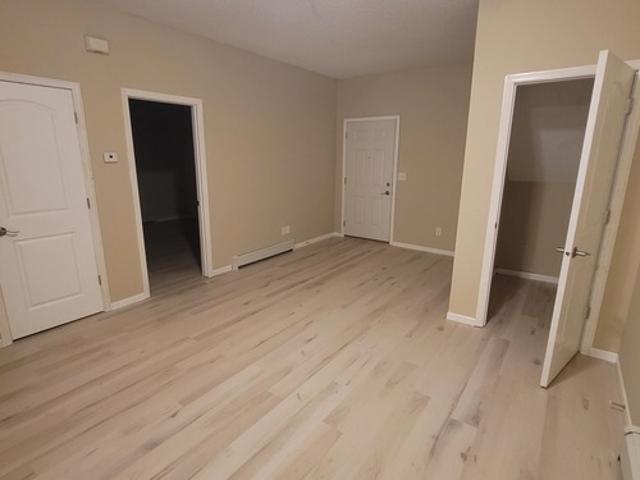 2 BR, 1 BA Apartment 213 East 4th Street, Unit B, Red Wing, MN 55066