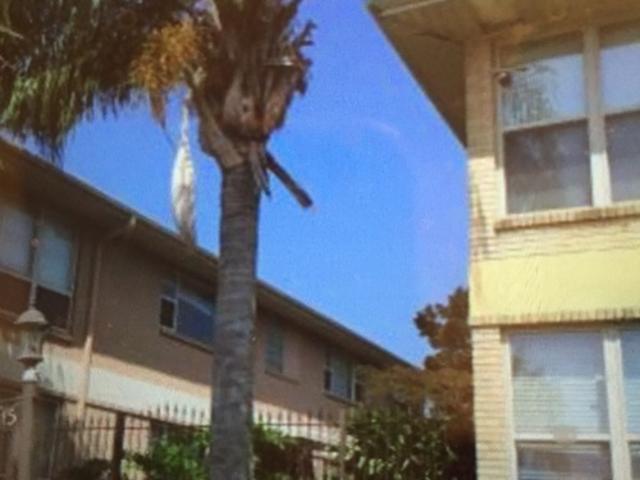 2 BR, 1 BA Apartment 215 Opal Street, Unit A, New Orleans, LA 70124