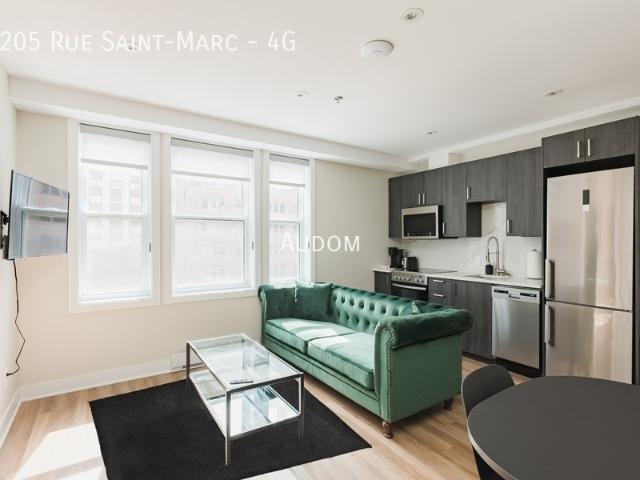2 BR, 1 BA Apartment 2205 Rue Saint Marc, MontrÃ©al, QC H3H 2G9