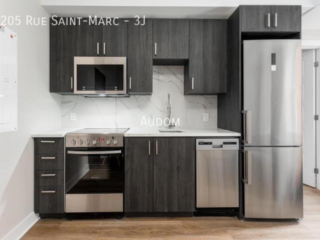 2 BR, 1 BA Apartment 2205 Rue Saint Marc, MontrÃ©al, QC H3H 2G9