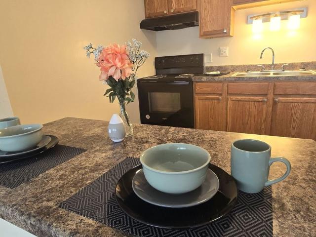 2 BR, 1 BA Apartment 3632 Pine Ridge Court Unit 17306, Moline, IL 61265