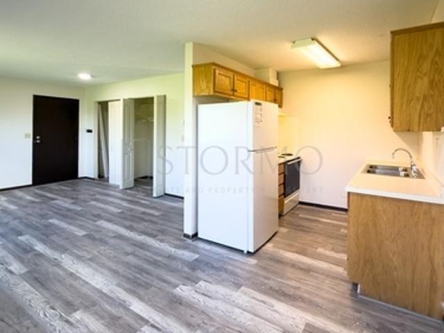 2 BR, 1 BA Apartment 365 Baldwin Ave NW, Unit 105, Elk River, MN 55330