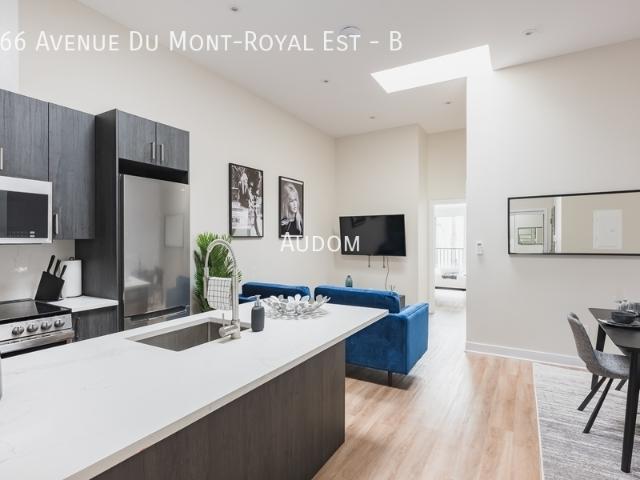 2 BR, 1 BA Apartment 366 Avenue Du Mont Royal Est, MontrÃ©al, QC H2T 1R1