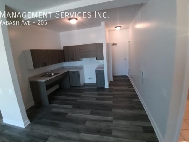 2 BR, 1 BA Apartment 4752 S Wabash Ave, Chicago, IL 60615