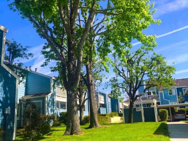 2 BR, 1 BA Apartment 404 Rico Street Unit 418D, Salinas, CA 93907