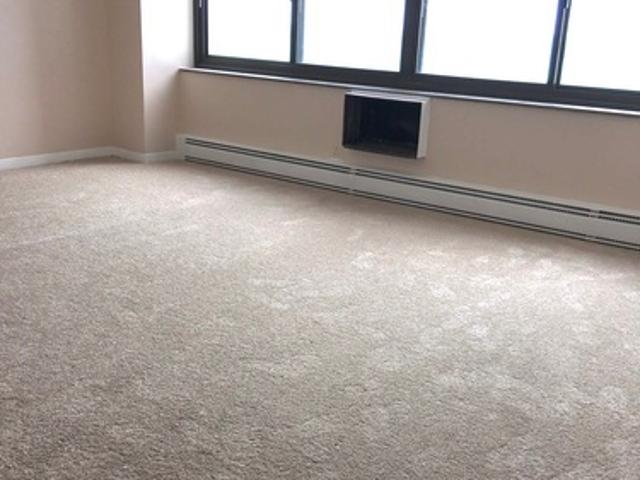 2 BR, 1 BA Apartment 7337 South South Shore Drive, Unit 1030, Chicago, IL 60649
