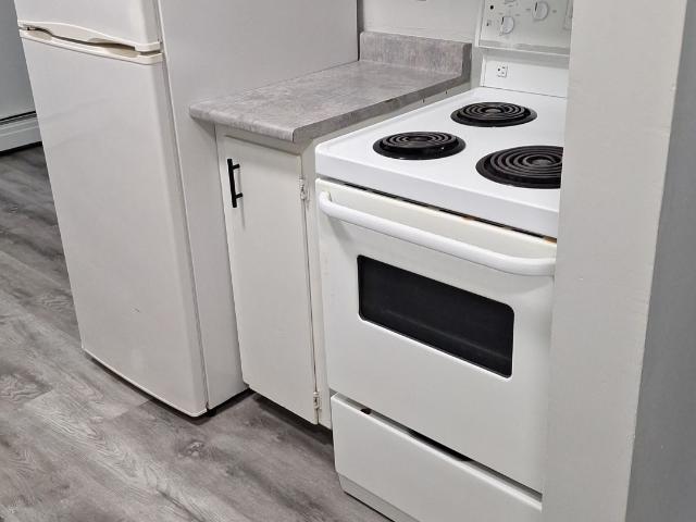 2 BR, 1 BA Apartment 9625 156 Street Northwest 101, Edmonton, AB T5P 2N8