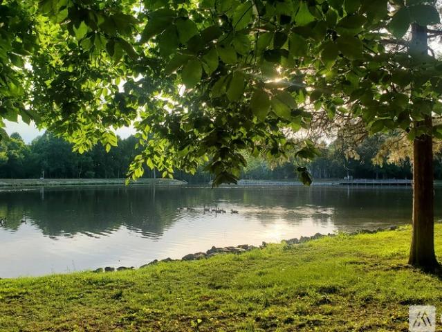 2 BR, 2.5 BA Apartment 12423 New Point Drive, Unit Lake House West End, Henrico, VA 23233