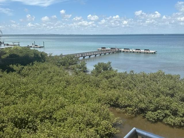 2 BR, 2.5 BA Apartment 201 West Capricorn Drive, Unit N102, South Padre Island, TX 78597