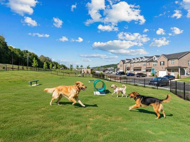 2 BR, 2.5 BA Apartment 8706 Rocky Fork Almaville Rd Unit 628, Smyrna, TN 37167