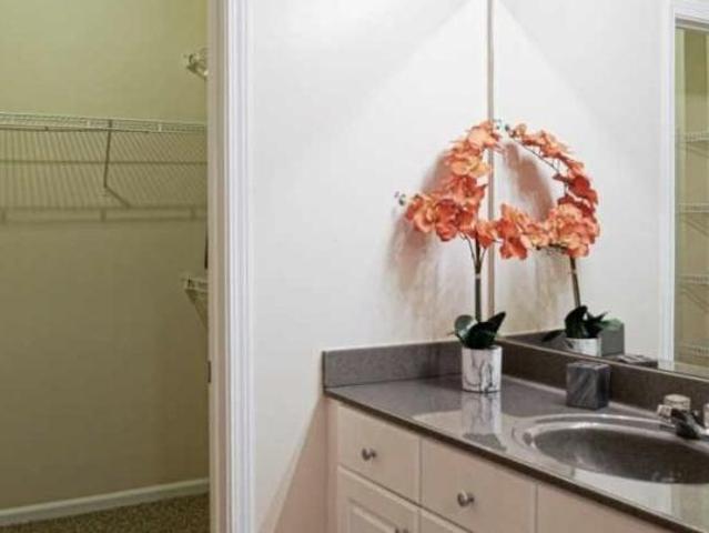 2 Br, 2 bath, Apartment 1005 W Trade St