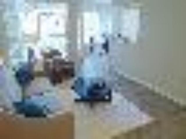 2 Br, 2 bath, Apartment 1300 Knoll Cir