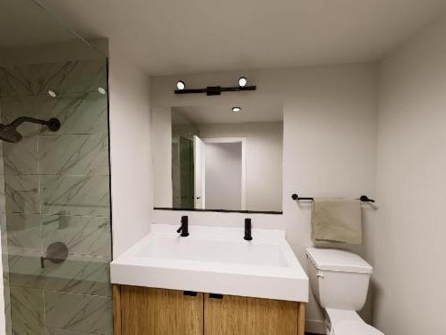 2 Br, 2 bath, Apartment 1717 S Michigan Ave