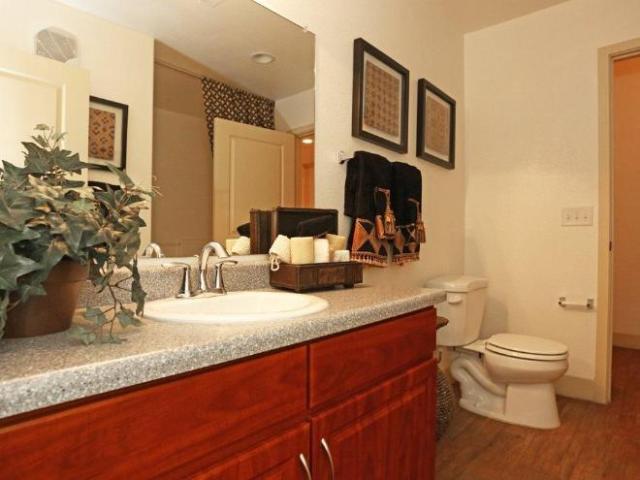 2 Br, 2 bath, Apartment 2505 East Williams Field Road